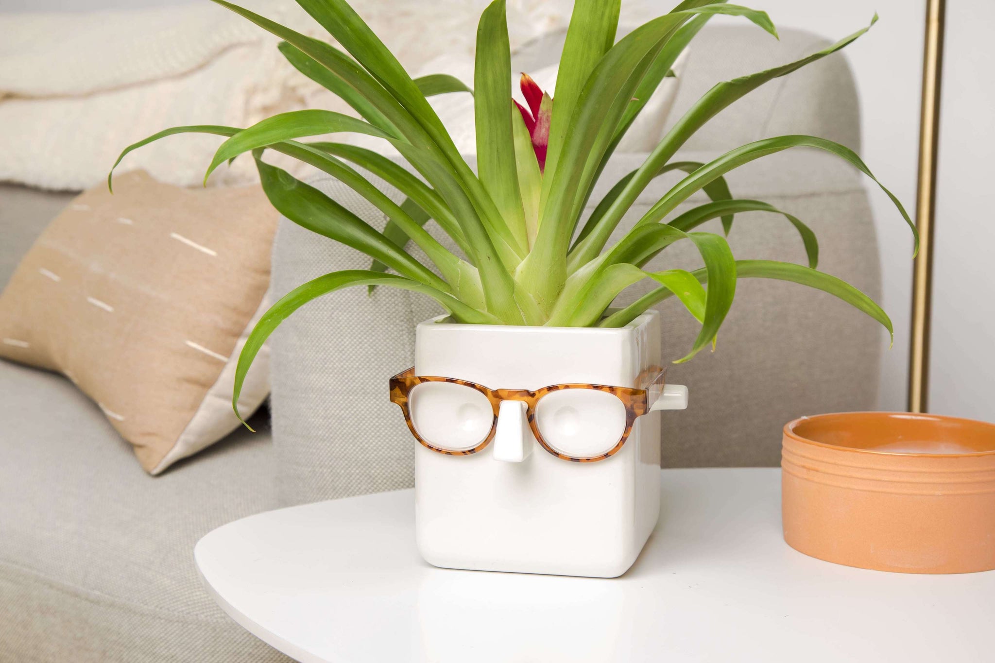 Home Ceramic Face Planter